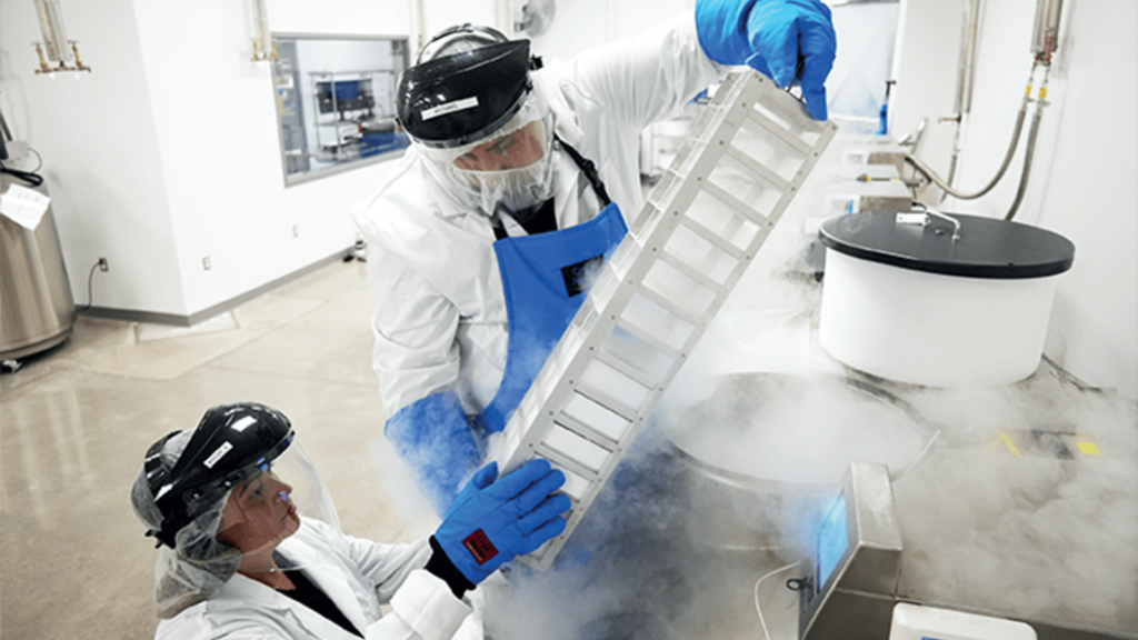 Uniting a Cell and Gene Kingdom in Article with the Medicine Maker ...