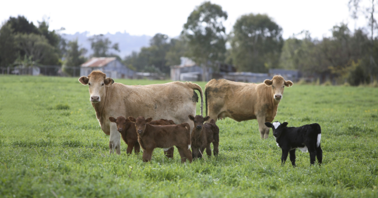 Improving Sustainability for Selective Breeding Programs with Secure Transport Solutions ...