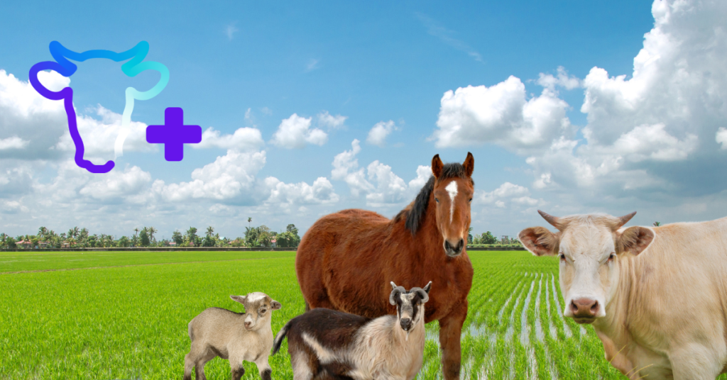 Navigating the Future: Top Trends for 2025 Shaping the Future of Animal ...